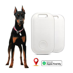 Buyer’s Guide: Best GPS Trackers for Dogs | Global Sources