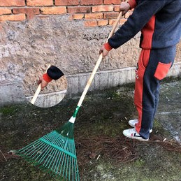 Buyer’s Guide to Rakes and Spading Forks | Global Sources