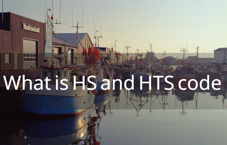 What is HS and HTS code? | Global Sources