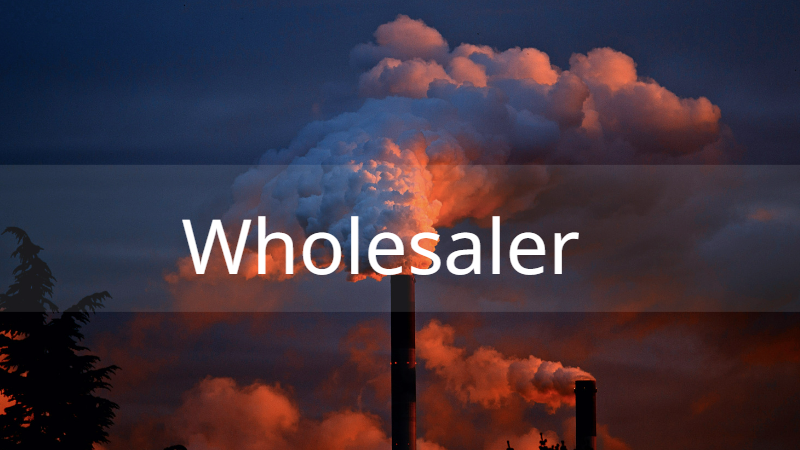 What is a Wholesaler? Understanding the Role and Benefits | Global Sources